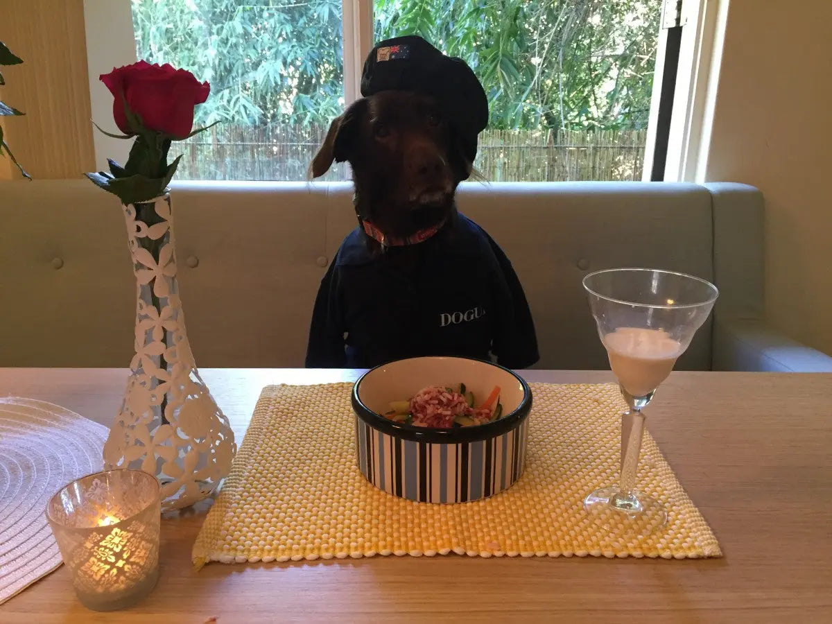 DOGUE Dog Chef - Dog Blog | DOGUE