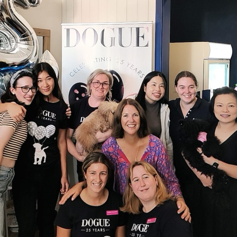 DOGUE | Australia's Best Pet Store | Shop Online for Your Dog