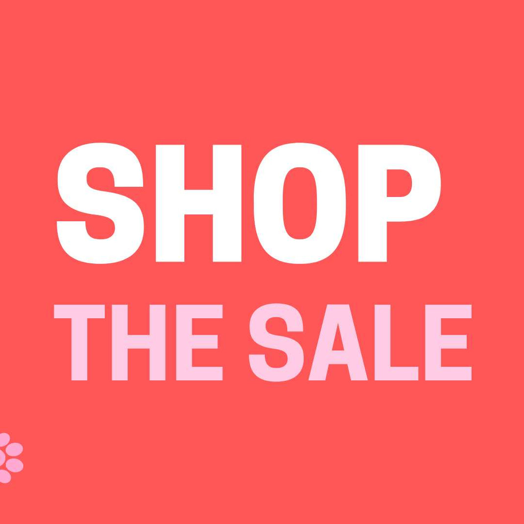 DOGUE | Australia's Best Pet Store | Shop Online for Your Dog