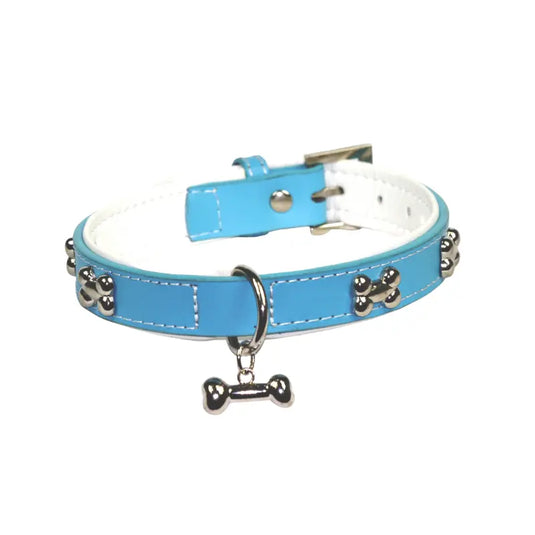 DOGUE | Australia's Best Dog Store | Shop Online for Your Dog