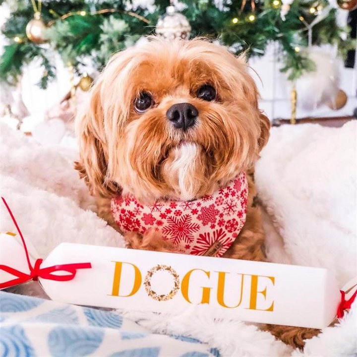 Sale | Buy Online at DOGUE