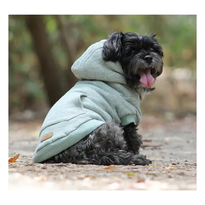 Sale | Buy Online at DOGUE